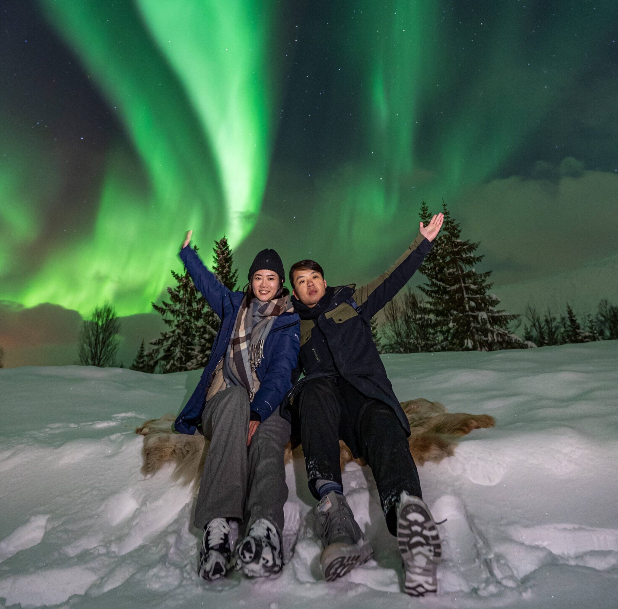 Arctic Wild Tours, NORTHERN LIGHTS, FJORD, WHALE